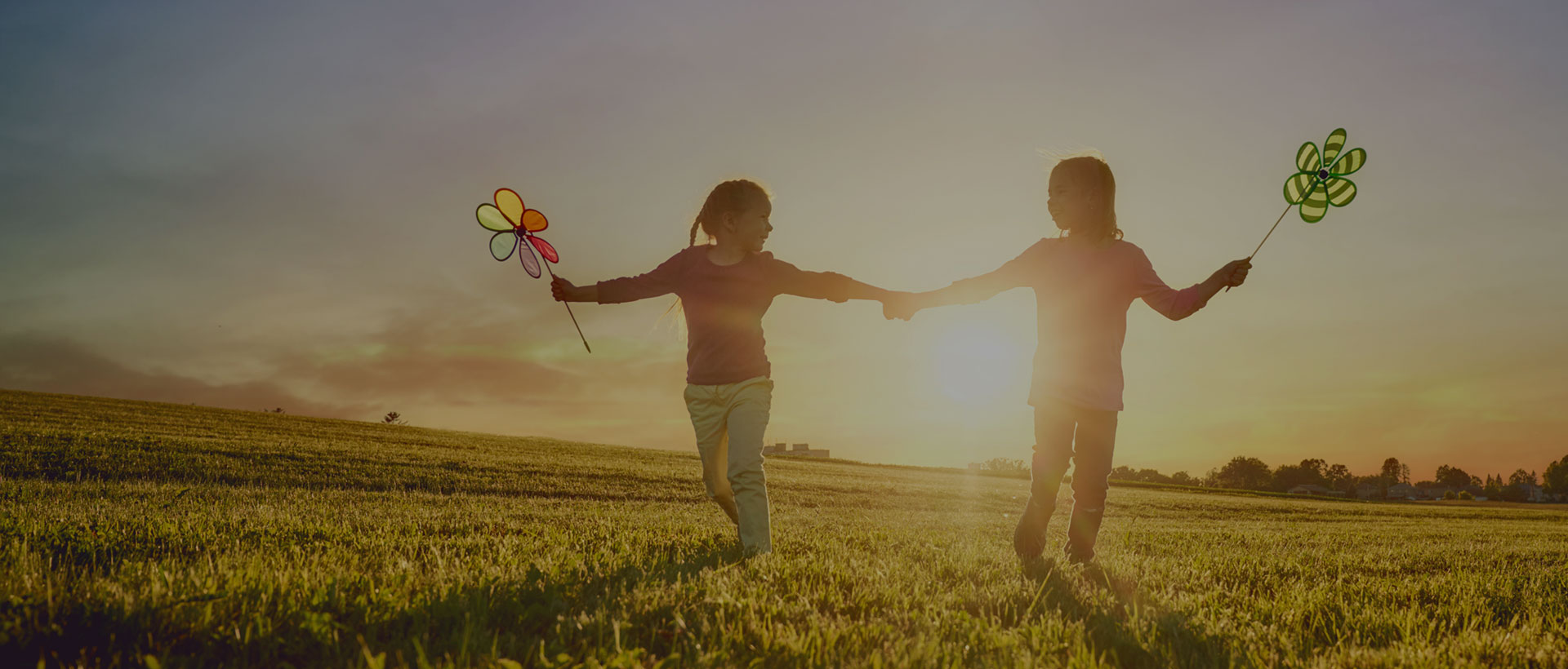 Anilia Asociación de personas con inteligencia límite Discapacidad Alicante